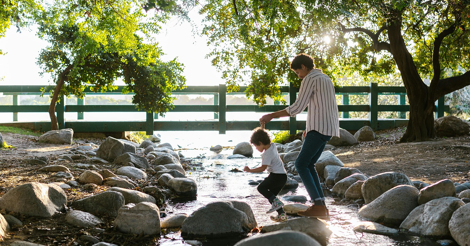 Life insurance explained : living with a peace of mind